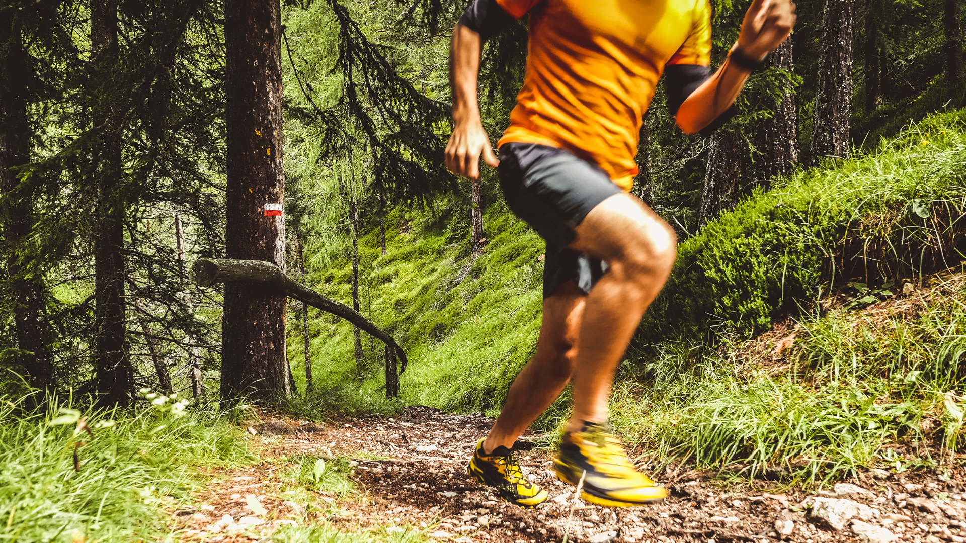 What Mandatory Gear Do I Need For Trail Running Events?– RUNLY